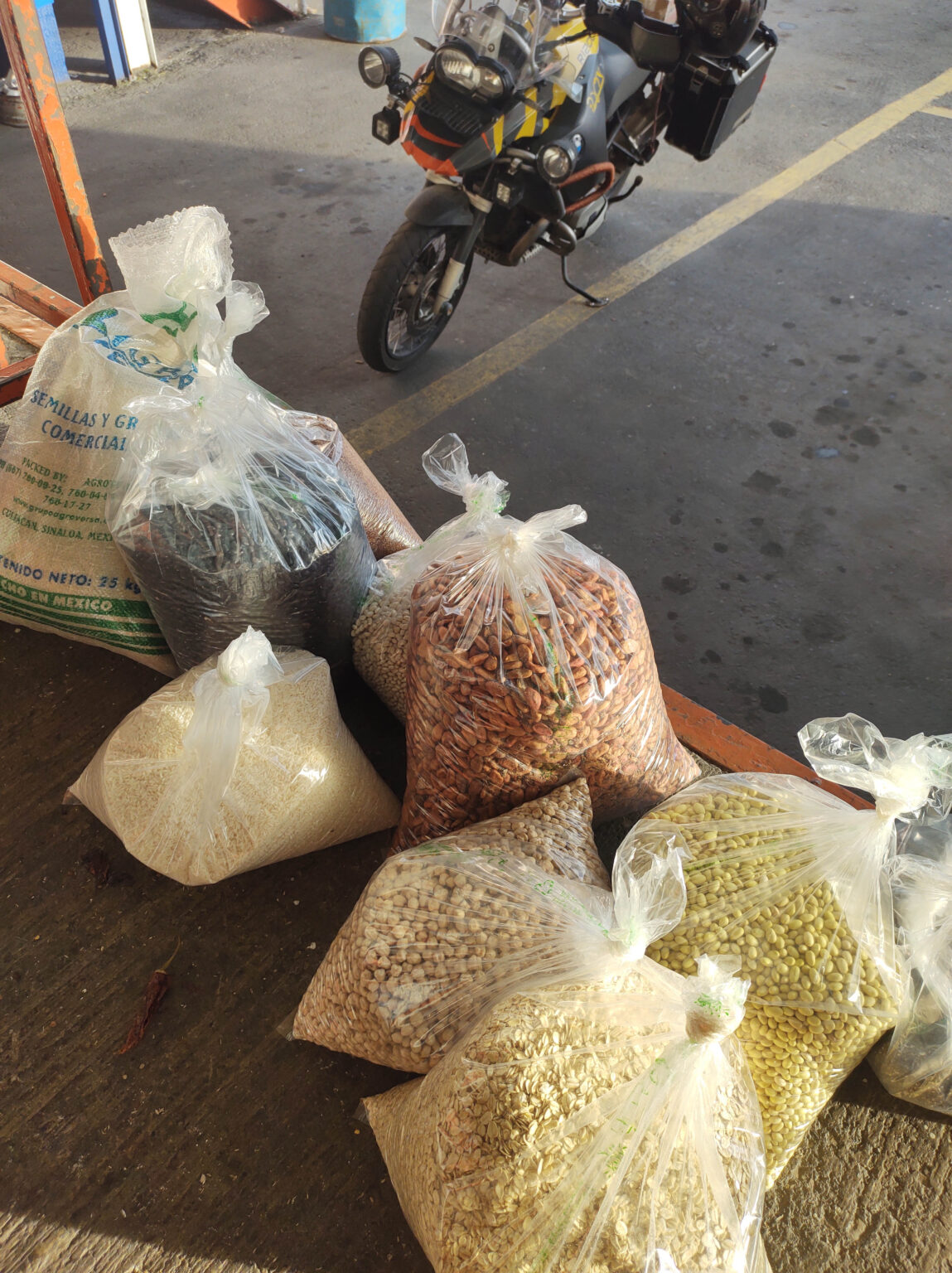 El secreto de las semillas – SecretoSaludables